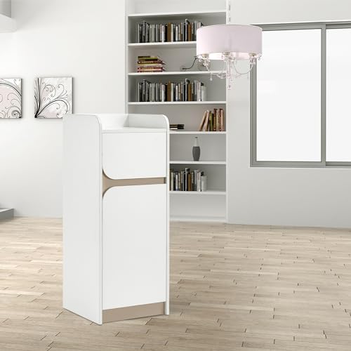 BarberPub Salon Spa Storage Cabinet, Barber Hair Stylist Station with 1 ...